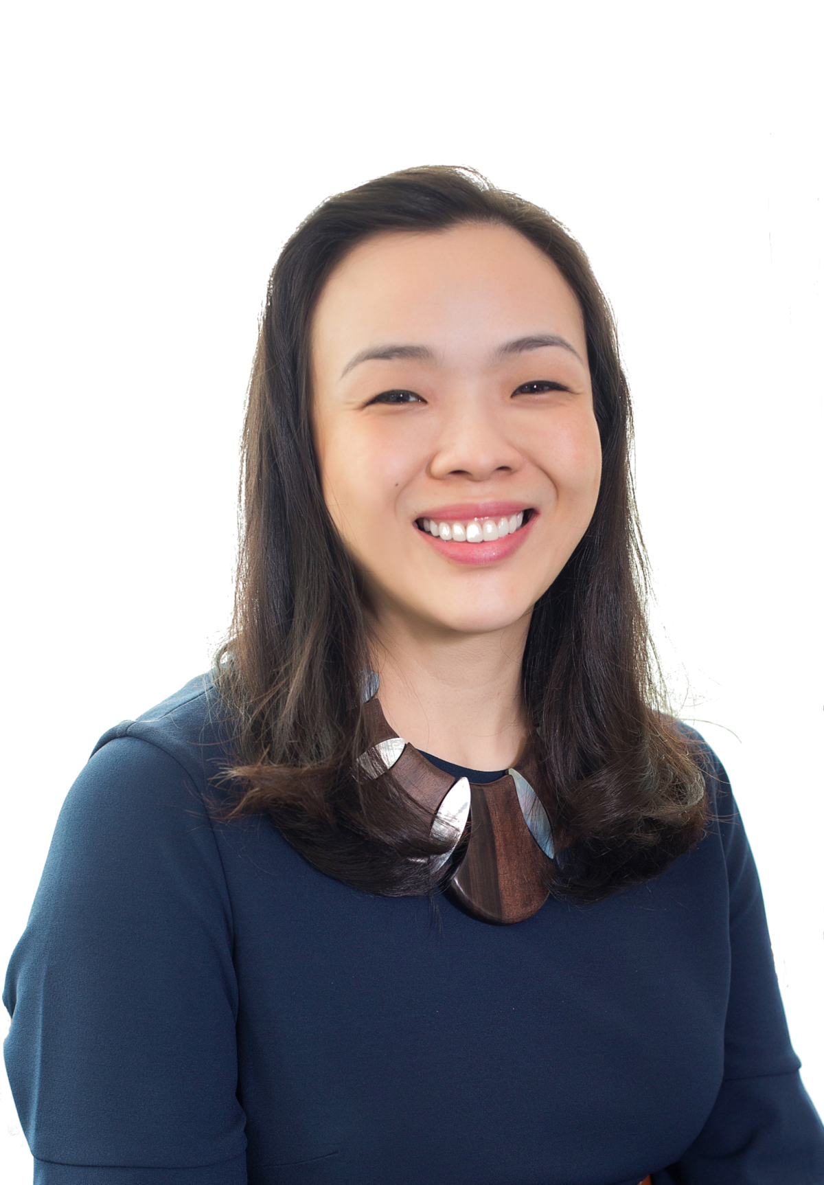 Dewan Komisaris - Star Energy Geothermal